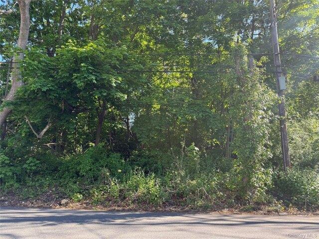 Central Islip Blvd, Ronkonkoma, Plot For Sale