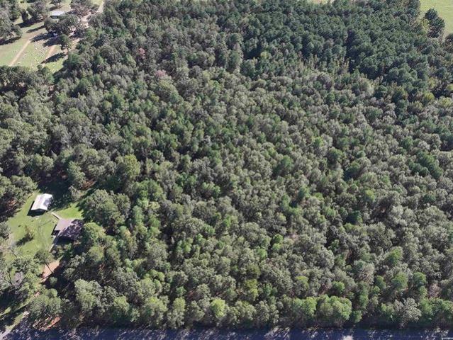 Central Rd, Horatio, AR 71842