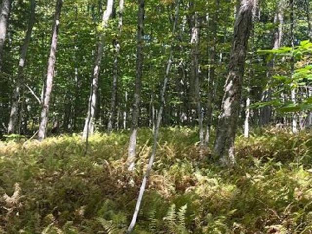 Central Shaft Rd, Florida, Plot For Sale