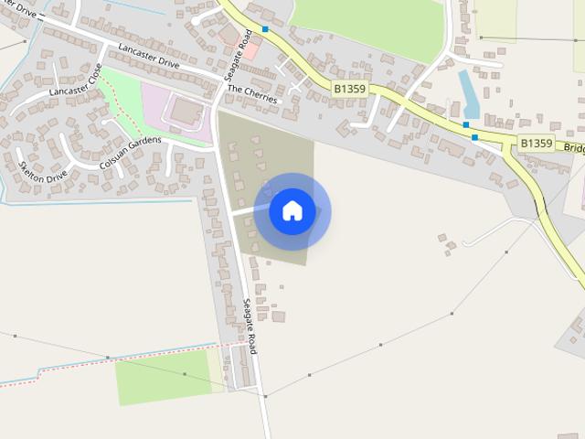 Centurion Drove, Long Sutton