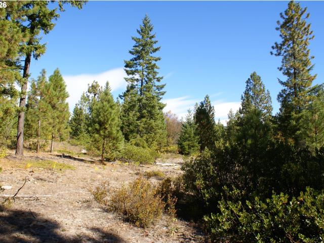 Cedar Valley RD