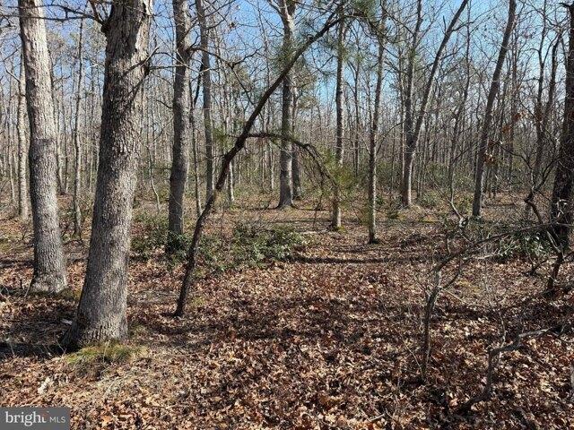 Cedar Bridge Rd, Barnegat, Plot For Sale