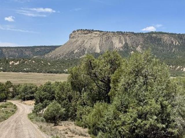 Cedar Cir, Los Ojos, NM 87575