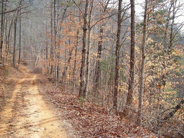 Cedar Cliff/Stovall Lot 14, Tuckasegee, NC 28783