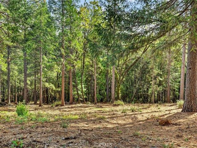 Cedar Crk, Forest Ranch, CA 95942