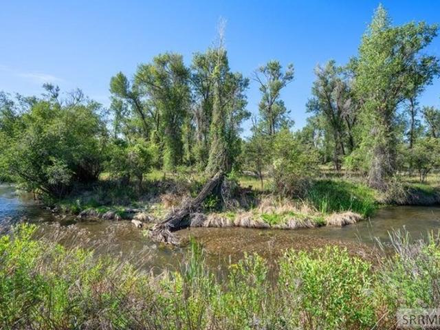 Cedar Cv, Rexburg, ID 83440
