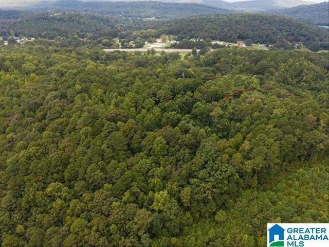 Cedar Dr Lot 0, Allgood, AL 35121