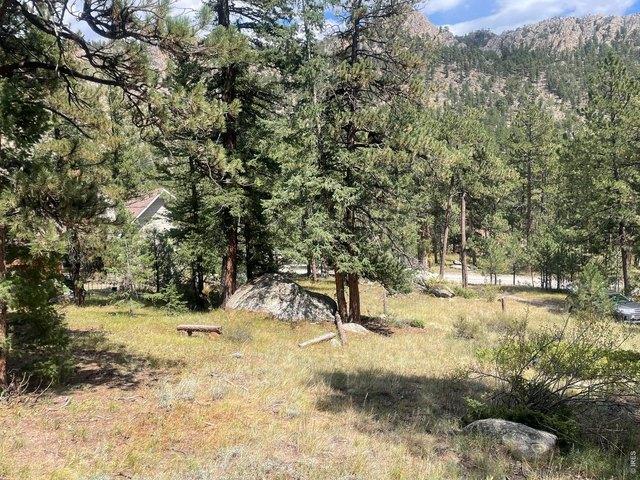 Cedar Dr, Lyons, CO 80540