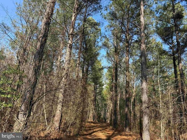 Cedar Field Road Tract: Tanager Et2 2003