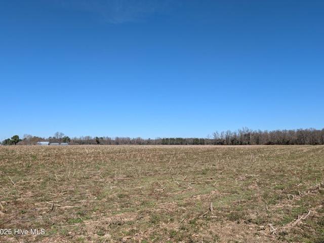 Cedar Fork Rd Lot 1, Beulaville, NC 28518