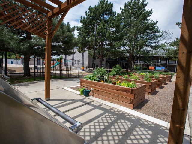 Cedar Gardens