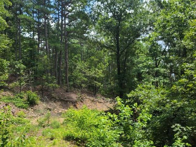 Cedar Glade Rd Lot WP000, Hot Springs, AR 71913