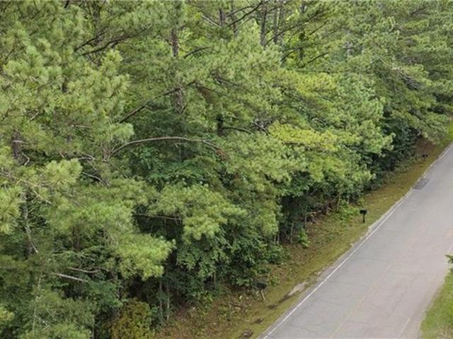 Cedar Grove Rd, Chattahoochee Hills, GA 30268