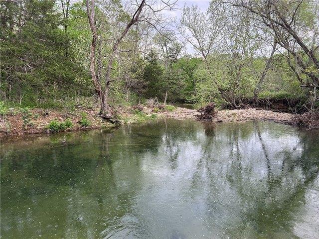 Cedar Grove Rd Lot 0, Lead Hill, AR 72644