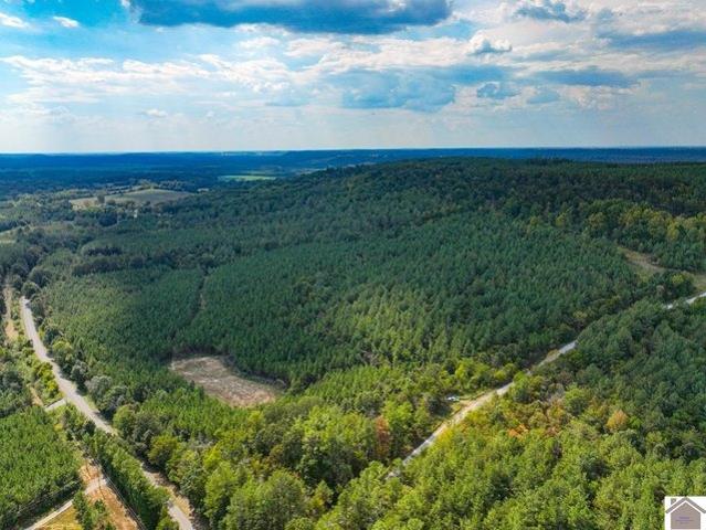 Cedar Grove Rd, Salem, KY 42078