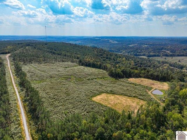 Cedar Grove Rd, Salem, KY 42078