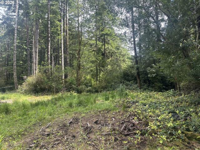 Cedar Hollow RD