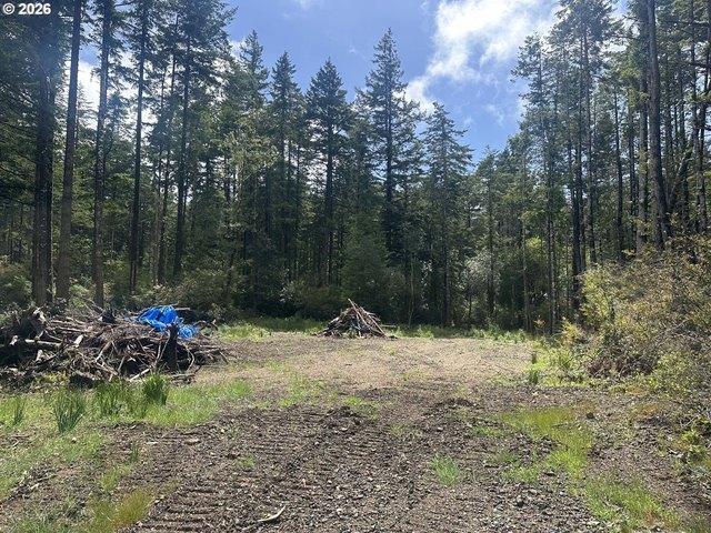 Cedar Hollow Rd, Port Orford, OR 97465