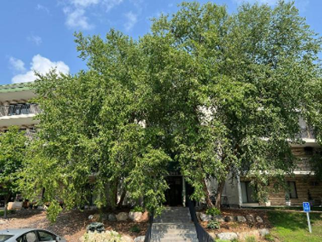 Cedar Lake Rd Apt