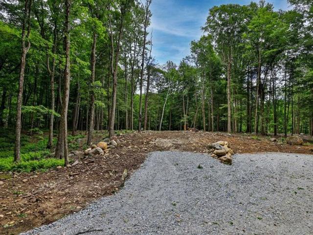Cedar Ln Lot 3, Mendon, VT 05701