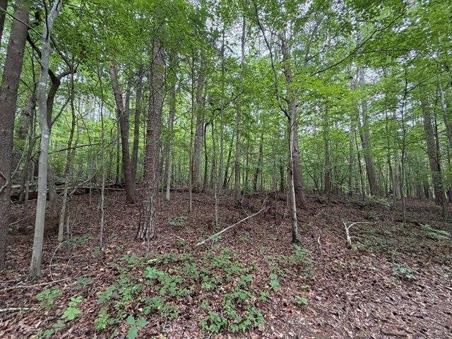 Cedar Point Dr Lot 57, Buffalo Junction, VA 24529
