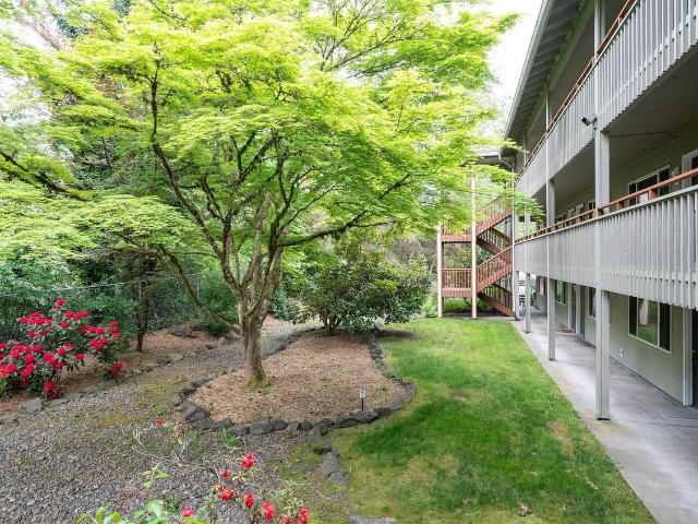 Cedar Pointe Apartments 1 Bedroom Apartment for Rent at 811 13th Ave Se, Olympia, WA 98501 Downtown Olympia