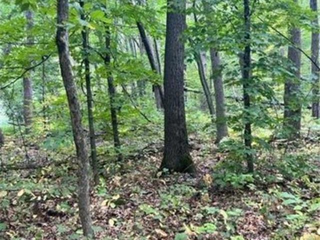 Cedar Rd/Marble Dr, Cushing, MN 56443
