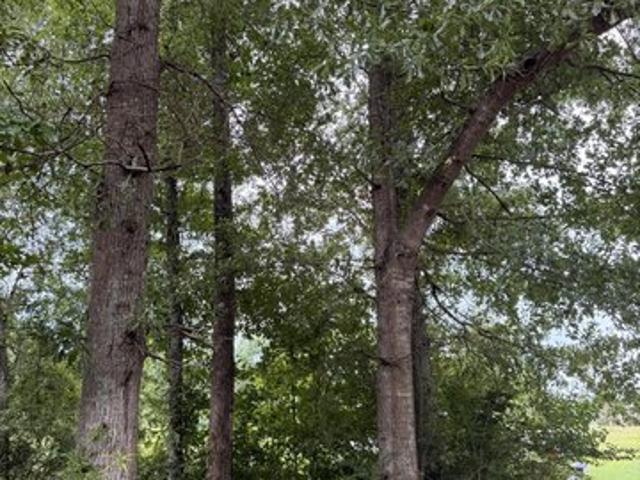Cedar Rdg Lot 3, McComb, MS 39648