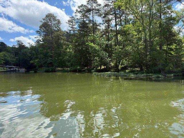 Cedar Ridge Dr, Sparta, GA 31087