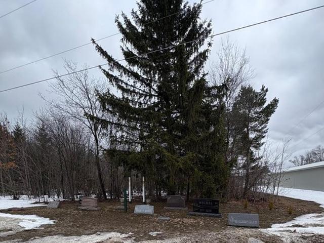 Cedar River Rd, Mancelona, MI 49659