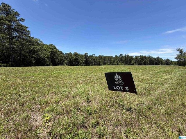 Cedar Springs Dr Lot 3, Jacksonville, AL 36265