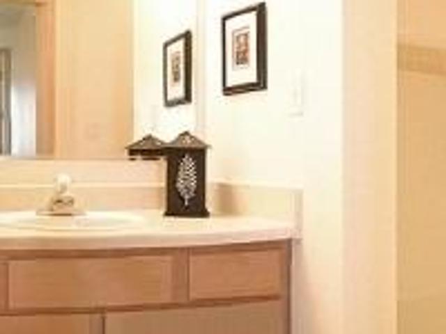 Cedar Springs Estates IV 1 Bedroom Apartment for Rent at 7808 N Morton St, Spokane, WA 99208 Nevada Lidgerwood