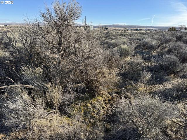 Cedar St, Unit L3000, Christmas Valley, OR 97641 | MLS #646341