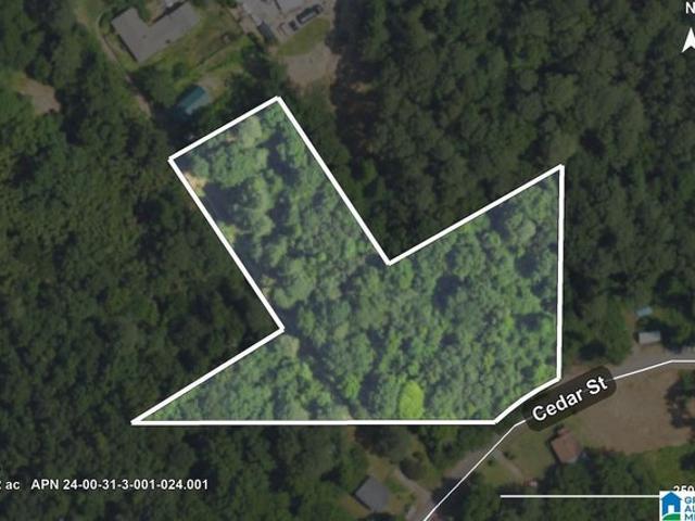 Cedar St, Birmingham, AL 35210