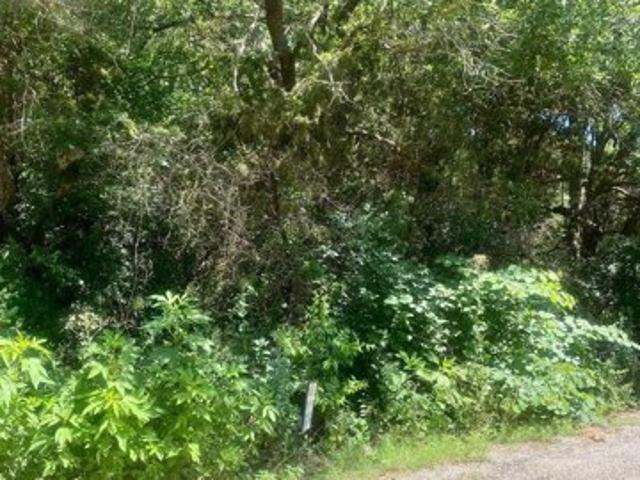 Cedarbrush St, Granbury, Plot For Sale