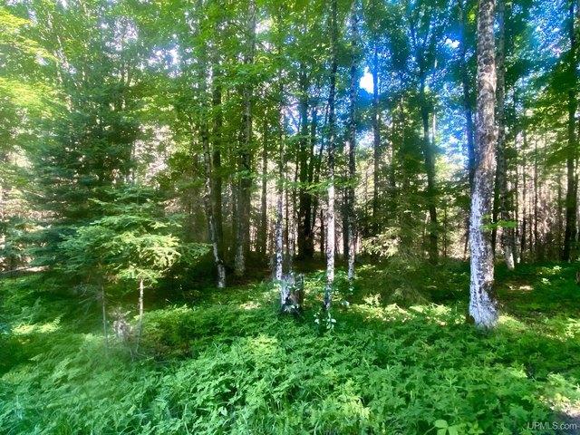 Cedardale 28th Rd, Cornell, MI 49818