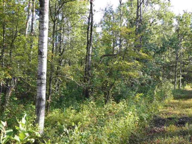 Cedarwood Ct, Mancelona, MI 49795