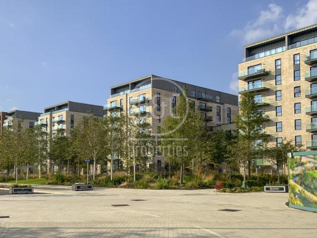 Cedrus Avenue, The Green Quarter. Studio to rent £1,600 pcm £369 pw
