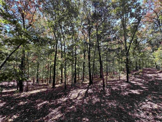 Cee Jay Ln, Sulphur Rock, AR 72579