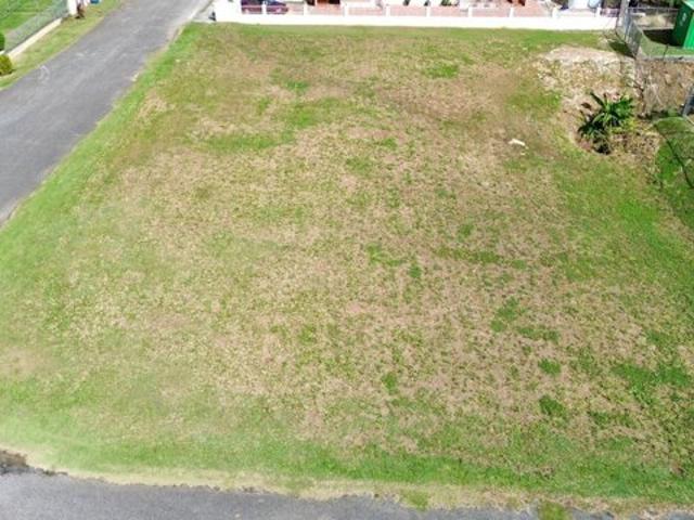 Ceiba Baja, Aguadilla, Plot For Sale