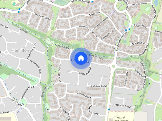 Celandine Road, Hamilton, LE5