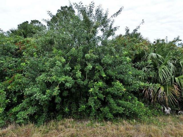 Ceriman Rd Port, North Port, FL 34288 | MLS #O6231
