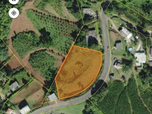 Cerro Gordo, Moca, Plot For Sale