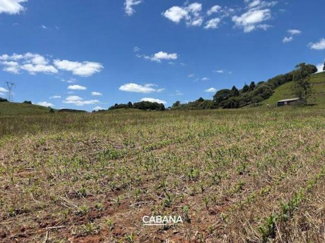 CH602 Lavoura de 09 hectares Prontos para Produzir