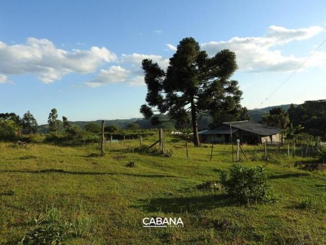 CH604 Paraíso para Criação de Abelhas
