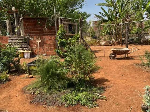 Chãcara, cinco mil metros, quadados na rajadinha i a venda