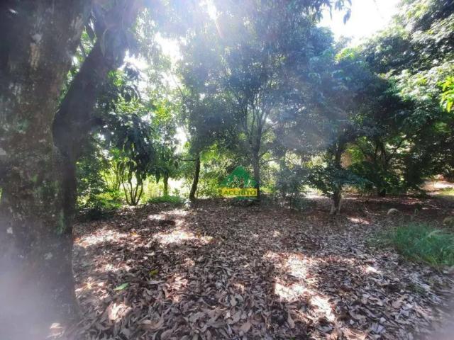Chácara com 2 dormitórios à venda, 24200 m² por R$ 1.500.000,00 Água Limpa Araçatuba/SP