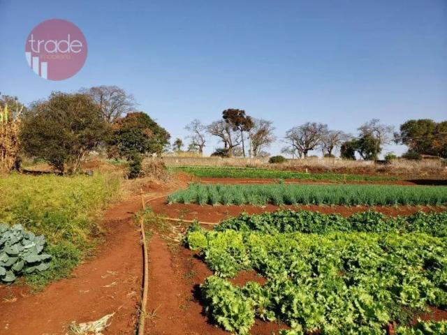 Chácara com 2 dormitórios à venda, 24810 m² por R$ 9.925.000,00 Condomínio Quinta da Boa Vista R