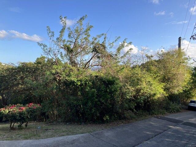 Chocolate Hole, Saint John, Plot For Sale