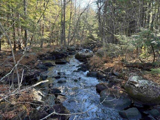Chocorua Mountain Hwy, Tamworth, Plot For Sale
